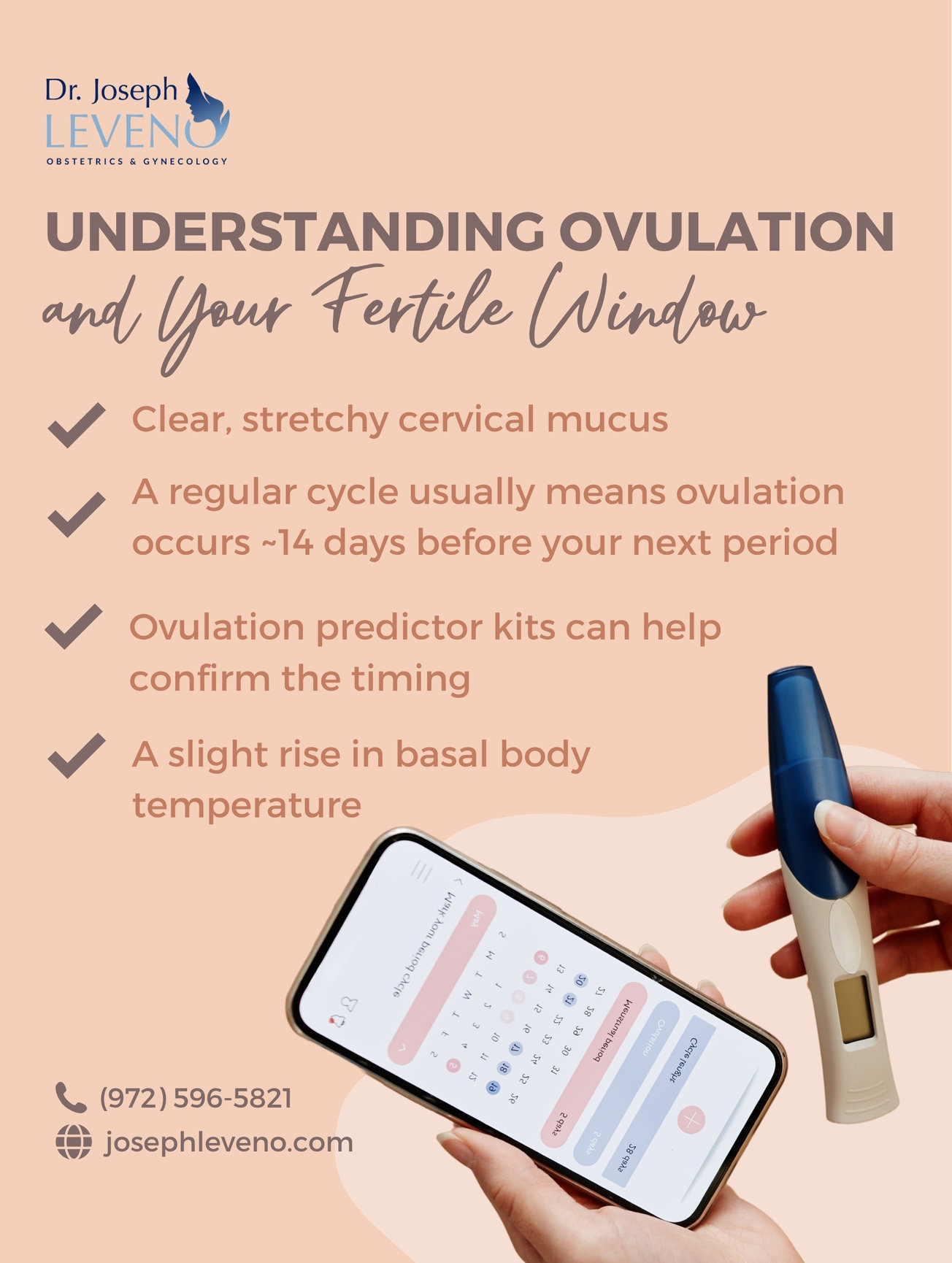 Understanding Ovulation & Fertile Window With Dr. Leveno